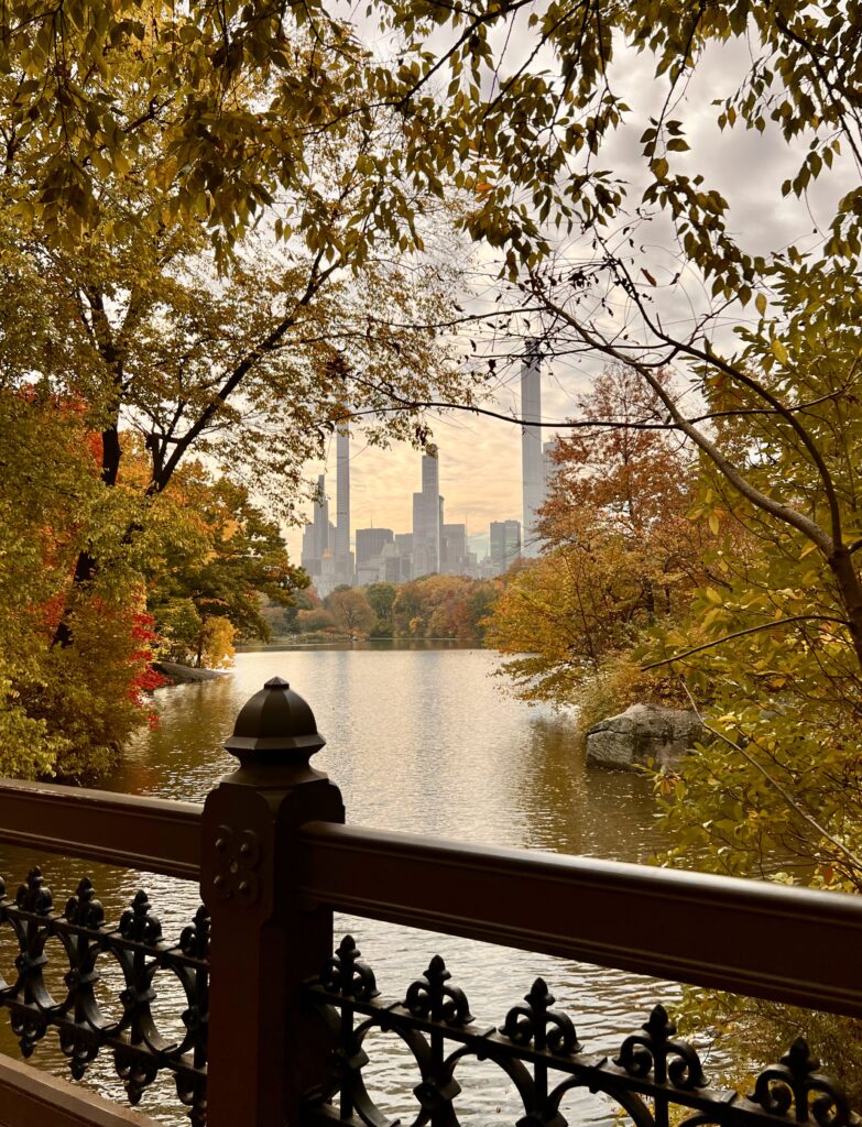 Fall in New York City - Hattie Kolp